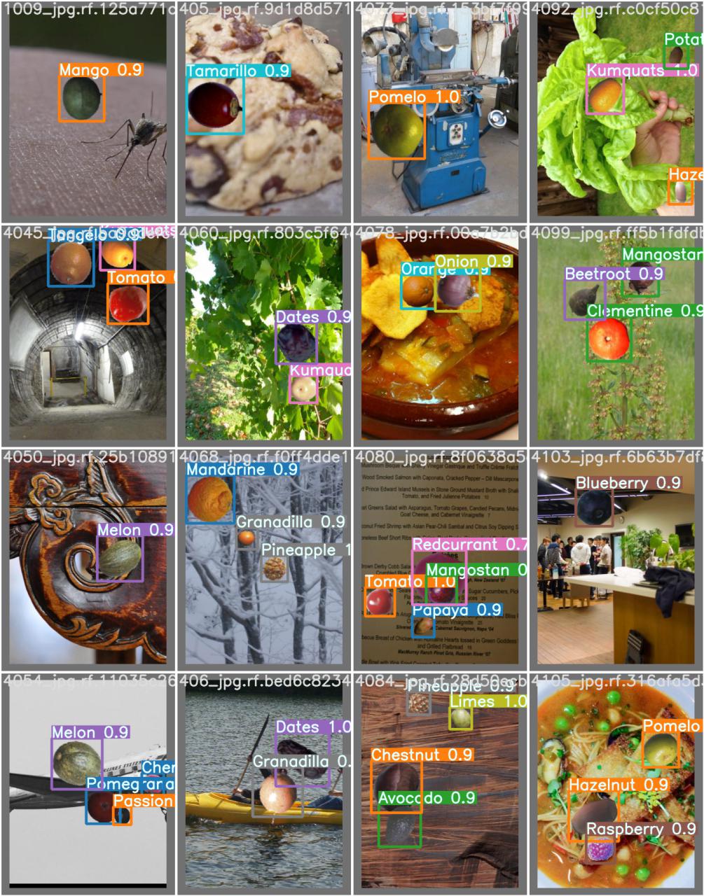 Training the Model by using fruits and vegetable open dataset