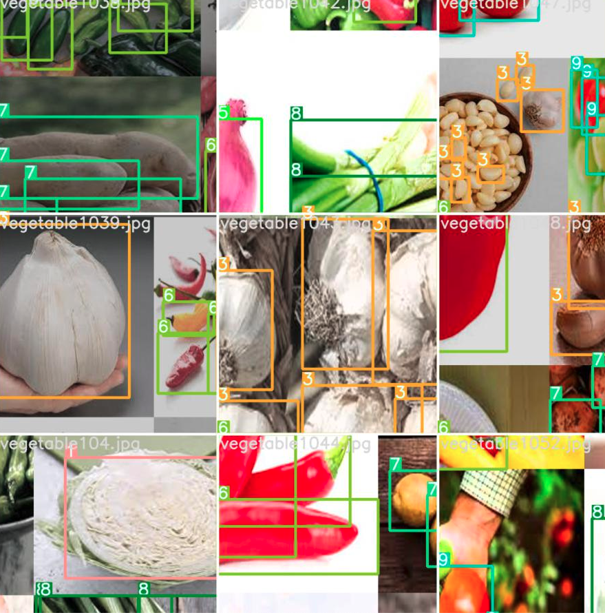 Training the Model by using google vegetable images